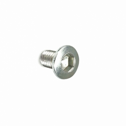SCREW TCEI M6X1.00X10 CH5